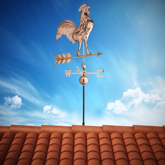 Relaxdays windhaan met pijl - windwijzer - haan - dak of tuin ...