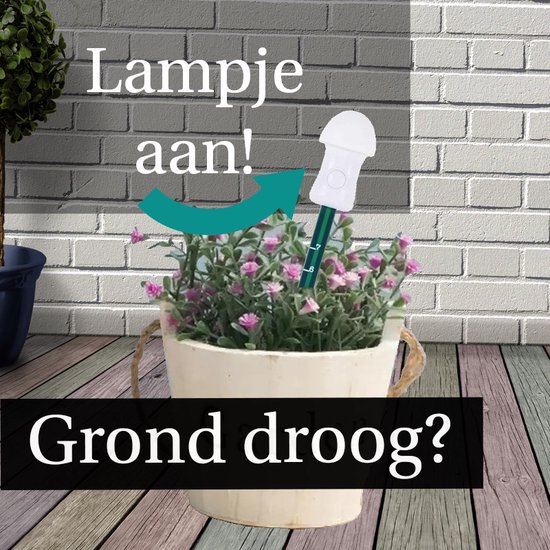 vochtmeter voor planten - vochtigheidsmeter - vochtmeter - plant ...