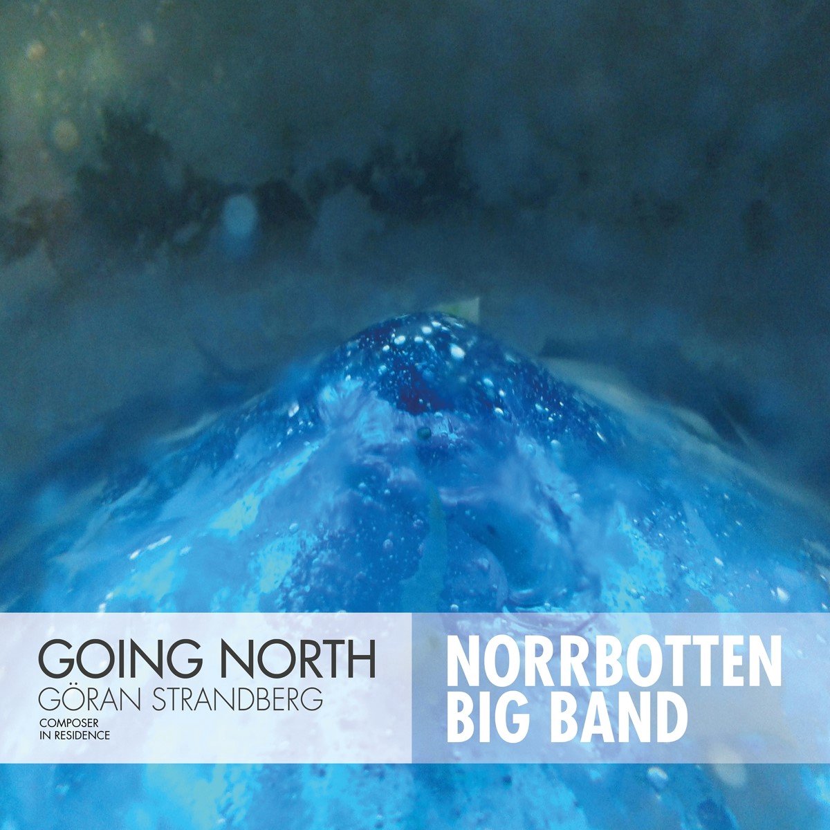 Norrbotten Big Band & Goran Strandberg - Going North (CD), Norrbotten Big Band | Muziek | bol.com