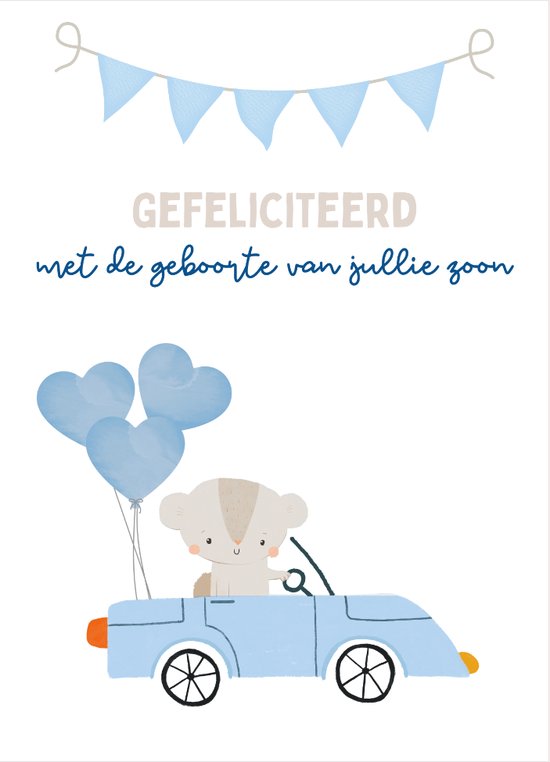 Wenskaart- Beertje in auto- Gefeliciteerd met de geboorte van jullie zoon... | bol