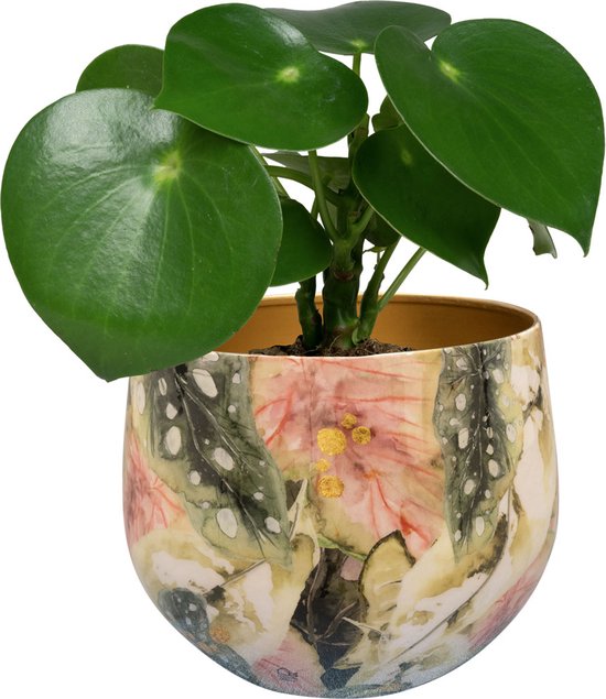 TS Collection Pot Monstera Mystery - Mini set van 2 - Metaal & Epoxy ...