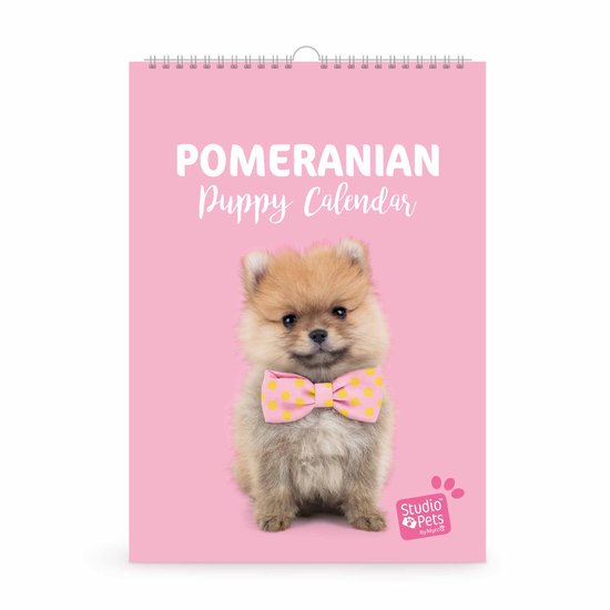 Studio Pets A4 Pomeriaan Puppy verjaardags kalender maandplanner! | bol