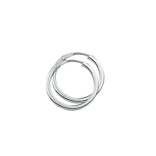 Zilver buis oorbellen - 20 mm - 1304847 | bol