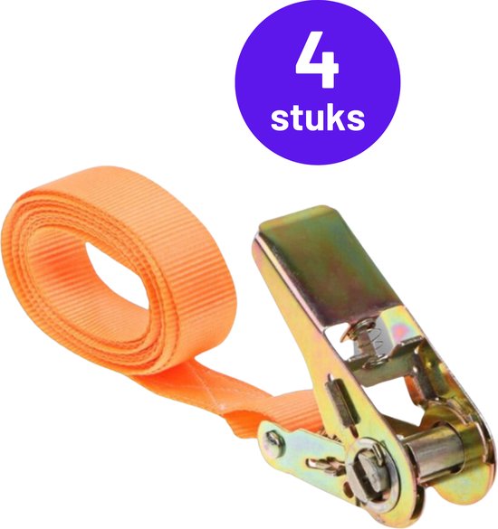 AVOID Spanbanden met Ratel 4 Stuks - 3m - 700 kg Belastbaar - Polyester ...