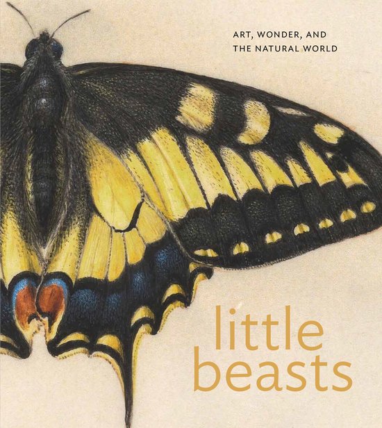 Little Beasts | 9780691271309 | Boeken | bol