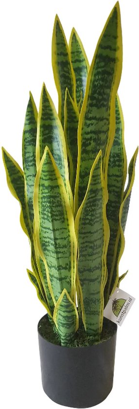 Kunst Sanseveria | 68cm - Namaak sanseveria - Kunstplanten voor binnen ...