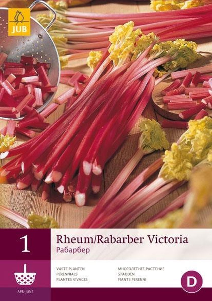 X 1 RHEUM / RABARBER VICTORIA I | bol.com