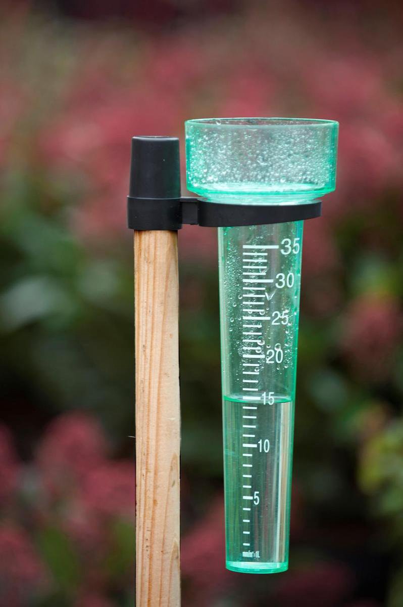 Regenmeter excl. stok 35 ml 24,5x8cm - Merkloos | bol.com