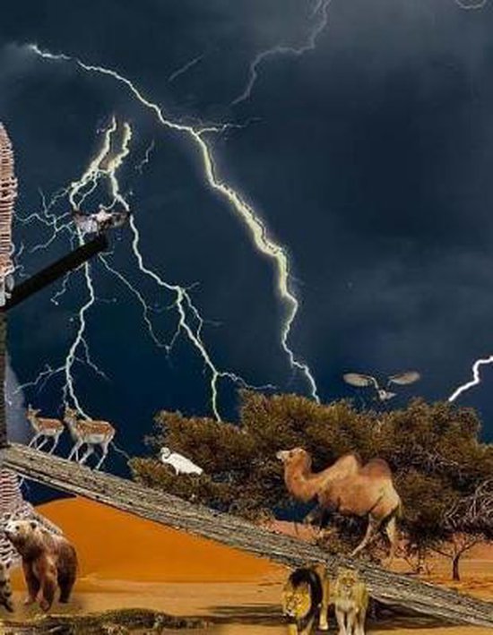 Noah's Ark, Wild Pages Press | 9781547014576 | Boeken | bol.com