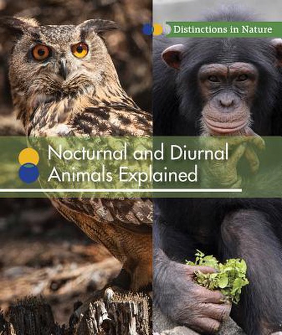 Distinctions in Nature- Nocturnal and Diurnal Animals Explained ...