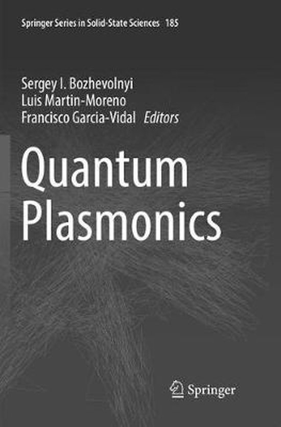 Springer Series In Solid State Sciences Quantum Plasmonics 9783319833798