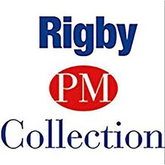 Rigby PM Collection- Riding to Craggy Rock | 9781418962890 | Rigby ...