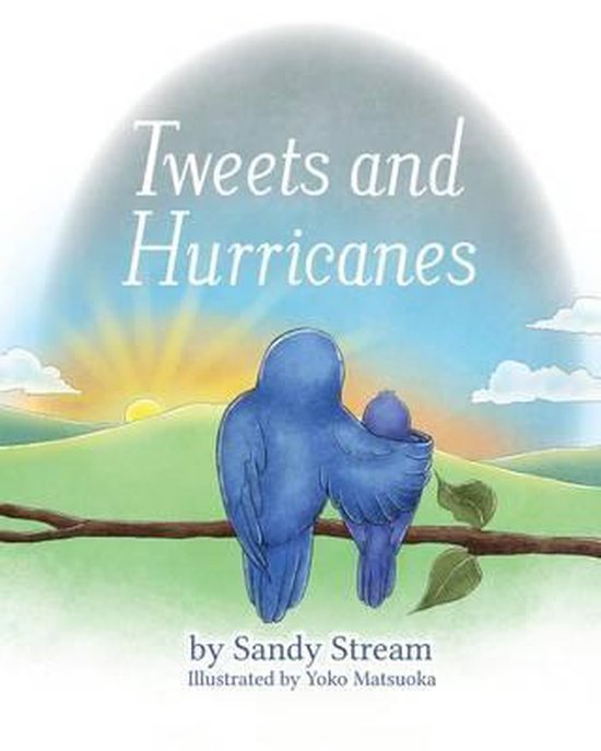 Tweets and Hurricanes, Sandy Stream | 9780973948141 | Boeken | bol