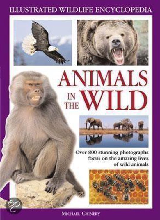 Animals In The Wild, Michael Chinery | 9780754814412 | Boeken | bol