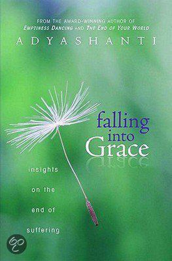 Falling Into Grace | Muziek | bol.com