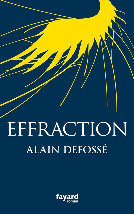 Effraction (ebook), Alain Defosse | 9782213688701 | Boeken | bol.com