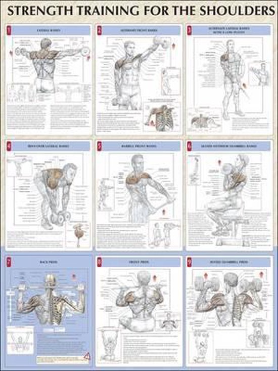 Strength Training for Shoulders Poster | bol.com