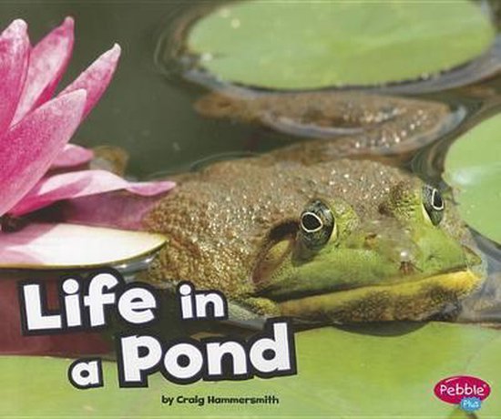 Life in a Pond, Craig Hammersmith | 9781429671491 | Boeken | bol.com