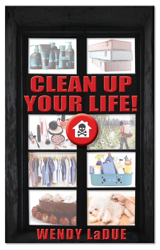 Clean Up Your Life (ebook), Wendy Ladue | 9781483578538 | Boeken | bol