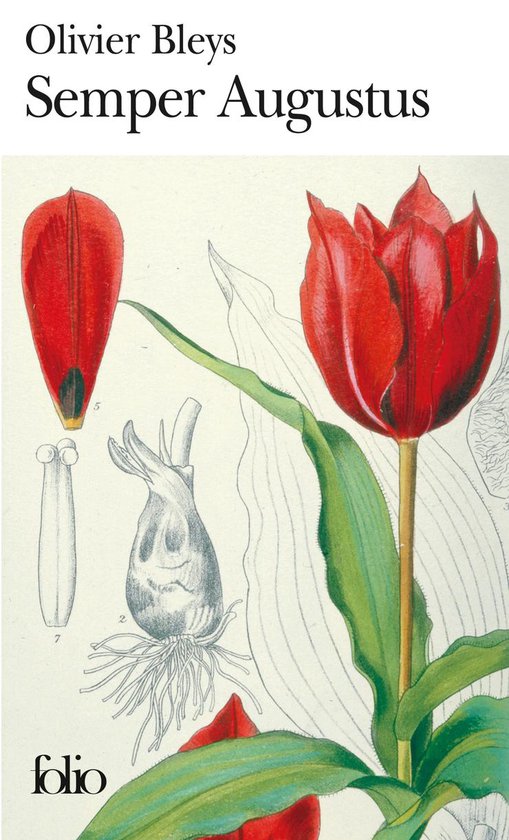 Semper Augustus (ebook), Olivier Bleys | 9782072720581 | Boeken | bol.com