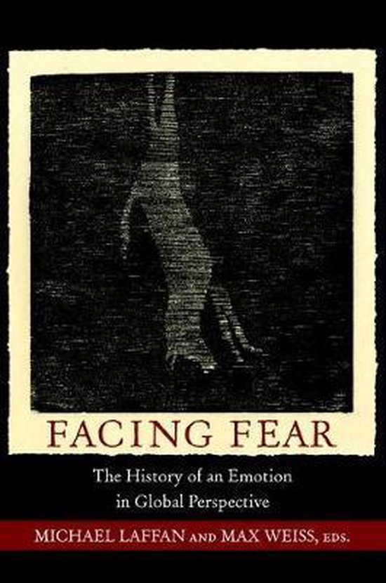 Facing Fear | 9780691153599 | Michael Laffan | Boeken | bol