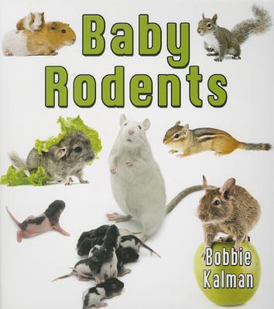 Baby Rodents, Bobbie Kalman | 9780778710141 | Boeken | bol.com