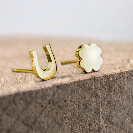 Ponytail & Co Oorstekers hoefijzer & klavertje - Dames – Staal ...