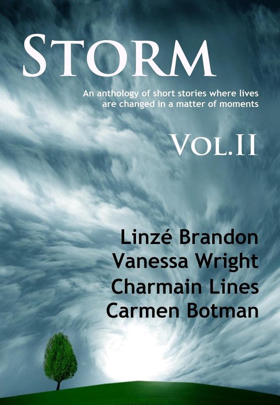 Storm - Storm Volume II (ebook), Linze Brandon | 9781311811394 | Boeken ...