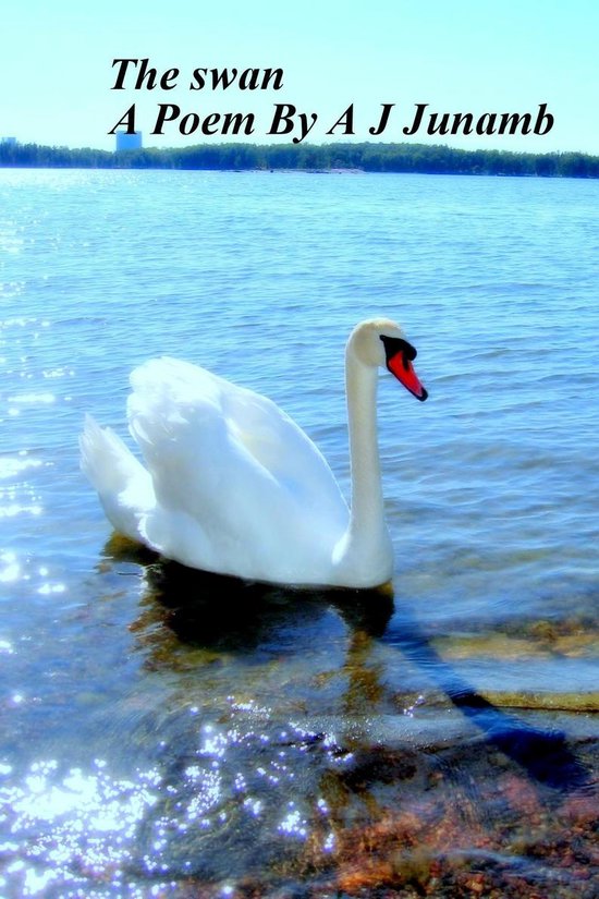 Poem - The Swan (ebook), A. J. Junamb | 9781310168802 | Boeken | bol