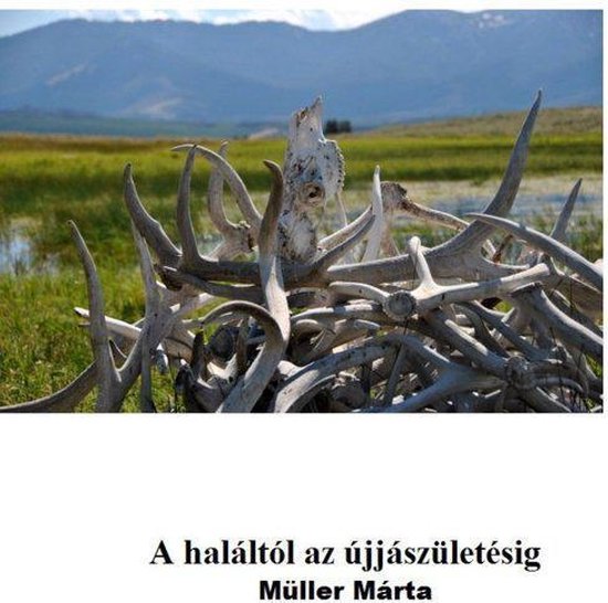 A haláltól az újjászületésig (ebook), Marta Muller | 9783844256185 ...