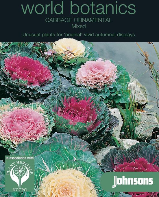 Botanics Ornamental Cabbage Mixed | bol.com