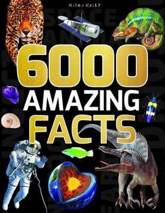 6000 Amazing Facts, Kelly Miles | 9781786172662 | Boeken | bol.com