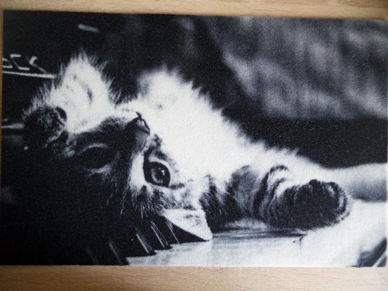 Deurmat 40x60 Kat Rug Black&White | bol.com