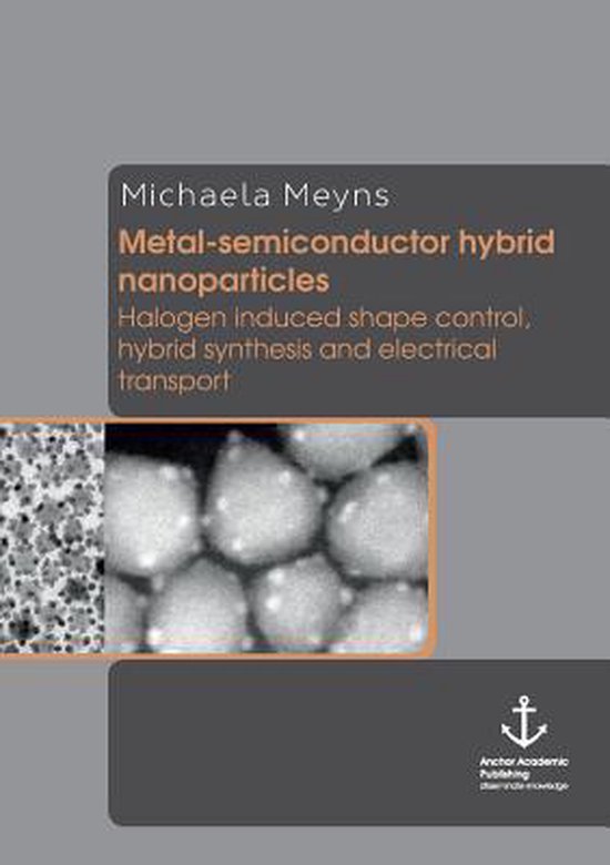 Metal-Semiconductor Hybrid Nanoparticles | 9783954892938 | Michaela Meyns | Boeken | bol.com