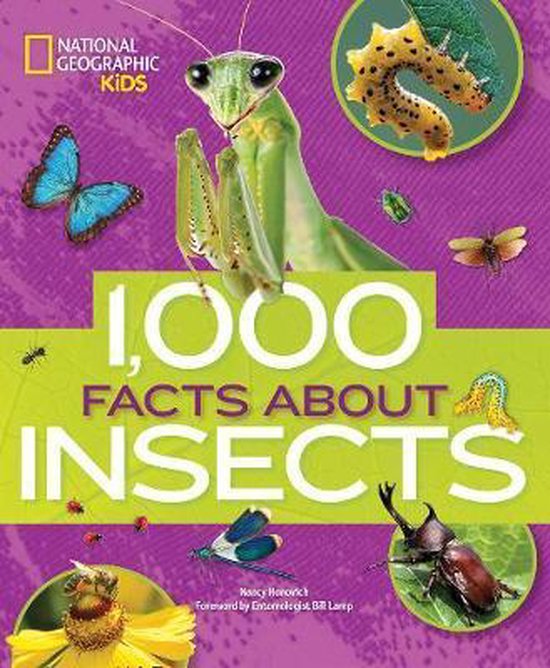 1000 Facts About Insects (100 Facts About...), National Geographic Kids ...