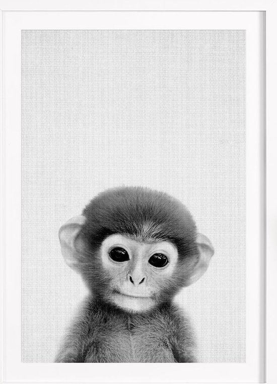 JUNIQE - Poster in premium houten lijst Aap zwart-wit foto -20x30 | bol.com