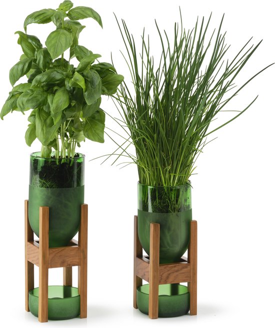 PILO set met kruiden - 2x Plantenhouder inclusief aarde - Basilicum en ...