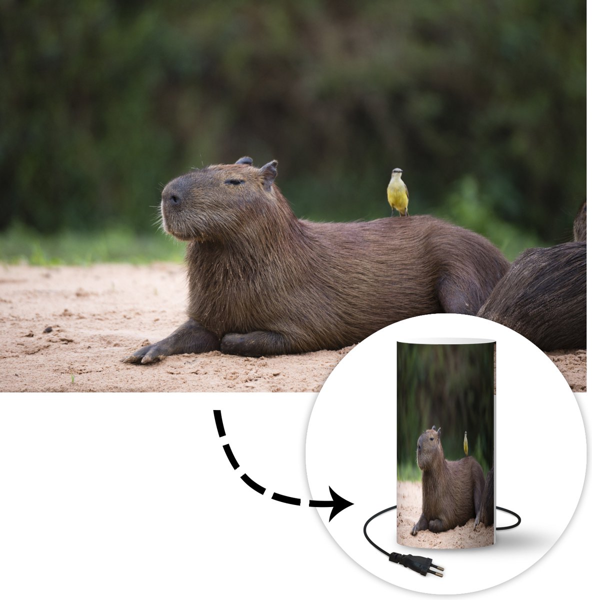 Lampe Capybara - Un Capybara avec un petit oiseau en lui-même - 54 cm ...