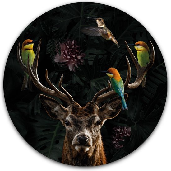 Cercle mural Cerf élaphe aux oiseaux colorés - WallCatcher | Plastique ...