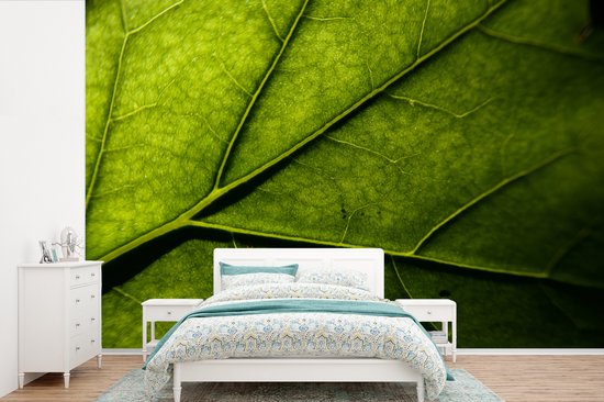 Behang - Fotobehang Close-up van blad - Breedte 390 cm x hoogte 260 cm ...