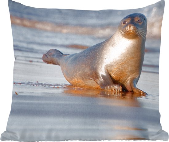 Sierkussens - Kussentjes Woonkamer - 50x50 cm - Zeehond op het strand | bol