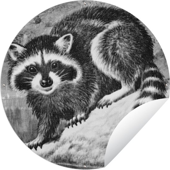 Tuincirkel tekening van een wasbeer op een rots - zwart wit - 90x90 cm ...