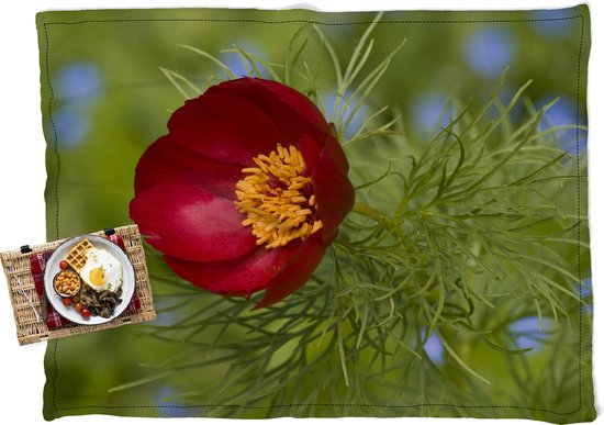 Waterdicht Picknickkleed - Geschikt als Strandlaken / Strandmat - De ...