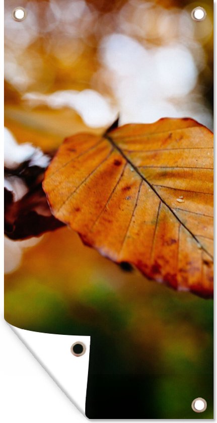 Tuinposter - Herfst - Beuk - Bomen - Bladeren - Oranje - 30x60 cm ...