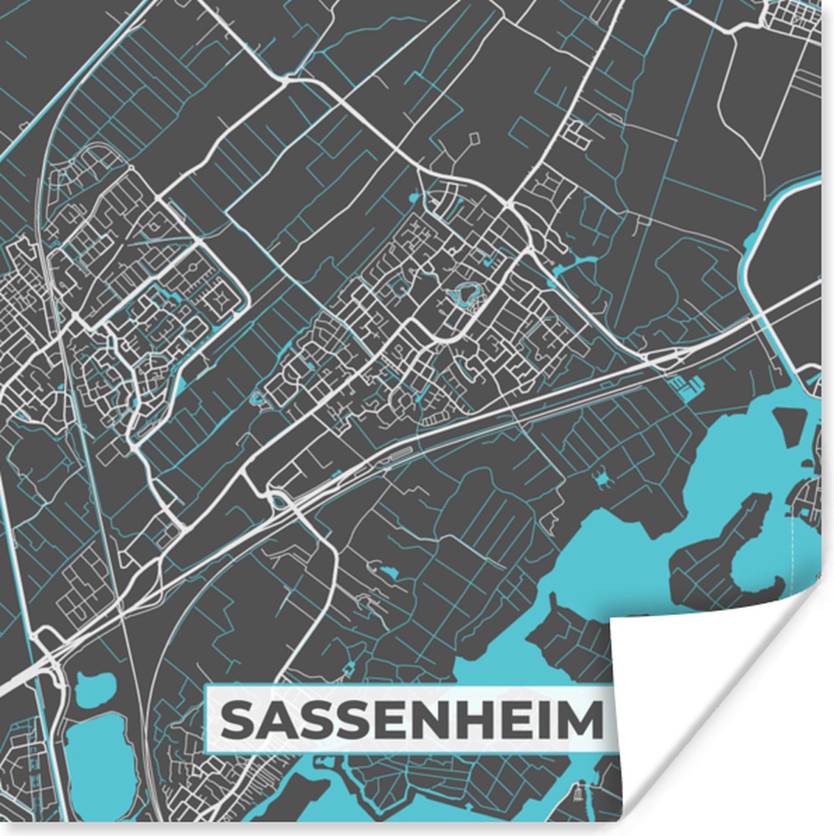 Poster Sassenheim - Kaart - Stadskaart - Plattegrond - 30x30 cm | bol.com