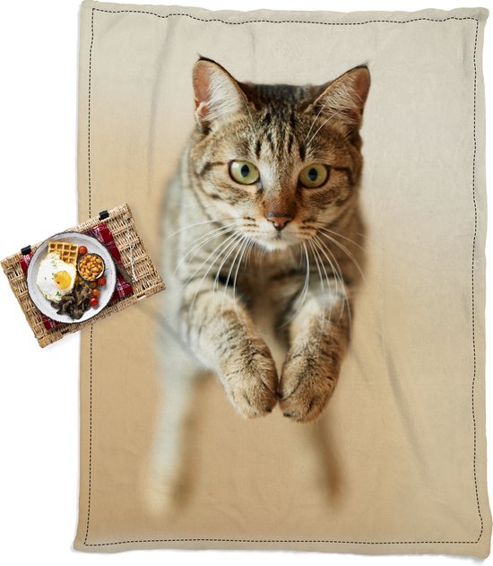 Waterdicht Picknickkleed - Geschikt als Strandlaken / Strandmat - Kat ...