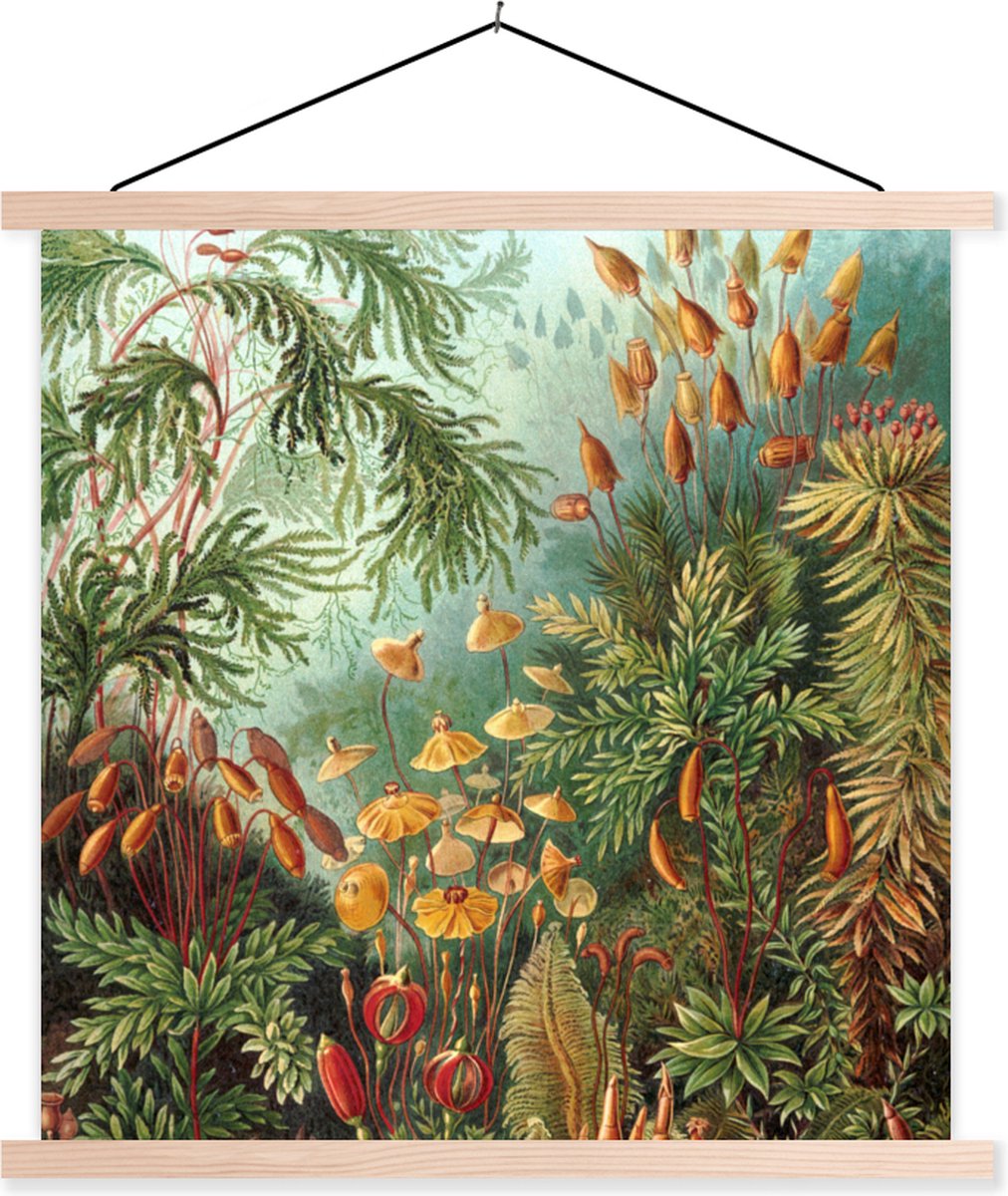 Porte-affiche avec affiche - Affiche scolaire - Maîtres anciens - Art ...