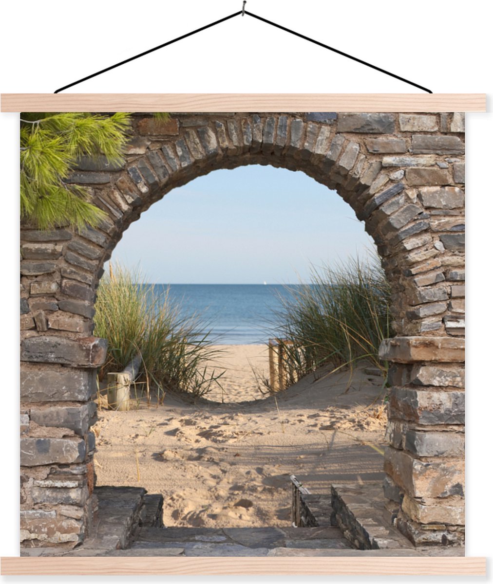 Affiche scolaire - Transparente - Plage - Dune - Plantes - 90x90 cm ...