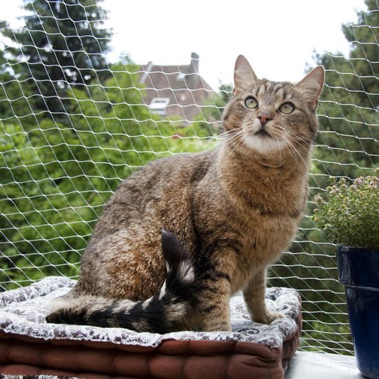 Avenchy - Netten- Kattennet - Balkonnet- Transparant | bol