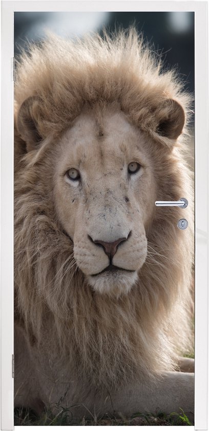 Deursticker Leeuw - Dier - Wit - 85x205 cm - Deurposter | bol.com